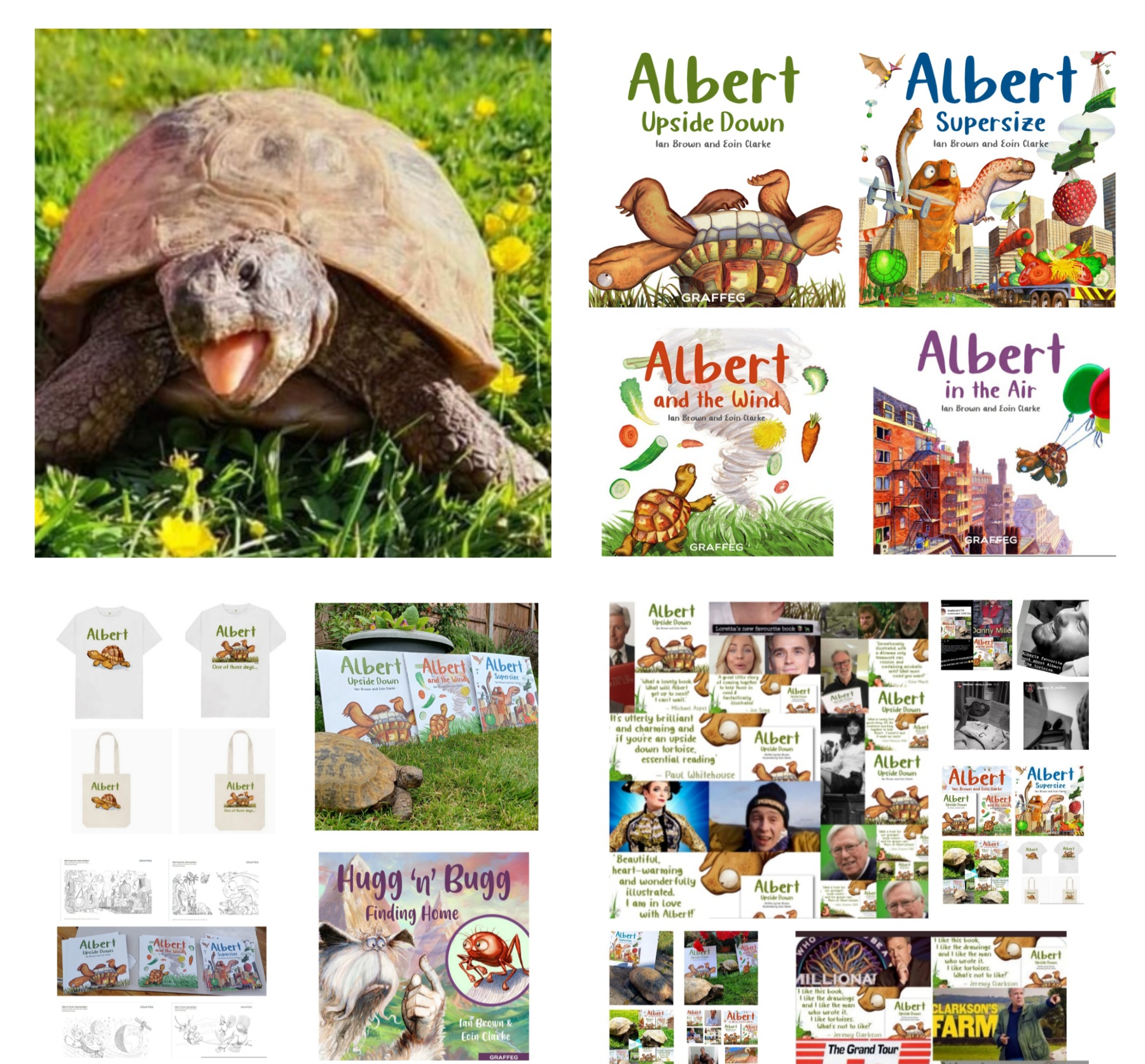 Home - Albert