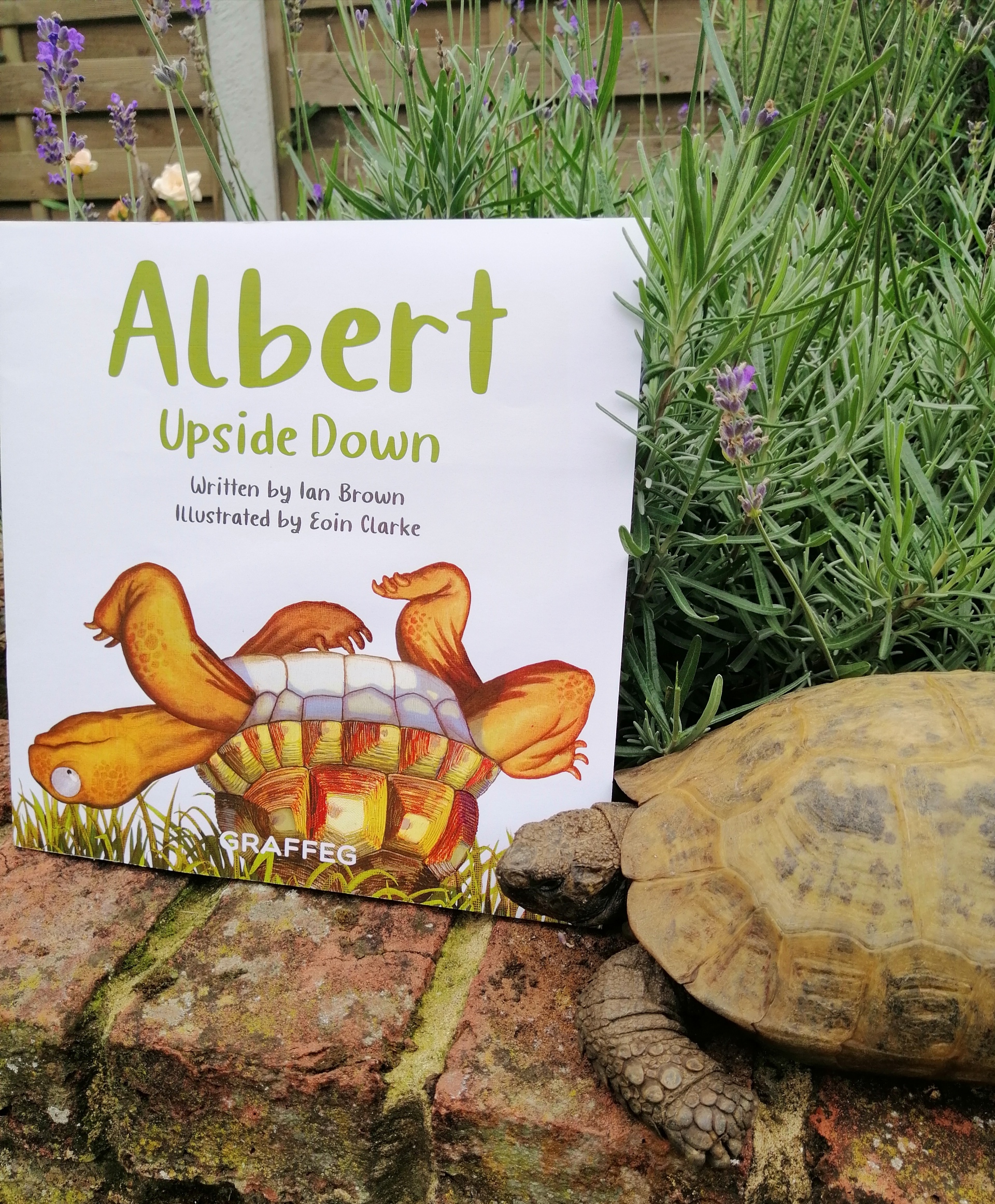 WE ARE TWO - Albert