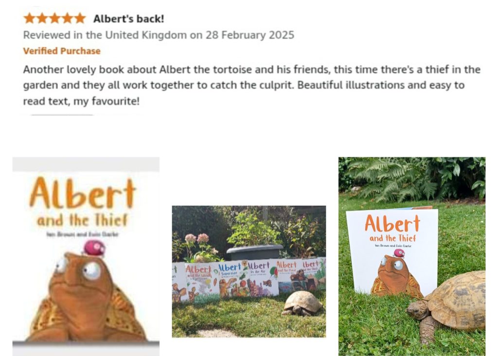 ALBERT’S BACK - Albert